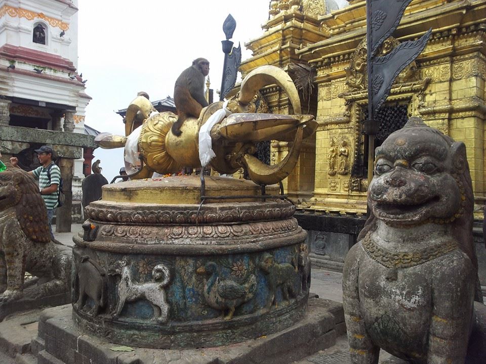 Monkey Tempel - Walk Along e.V.